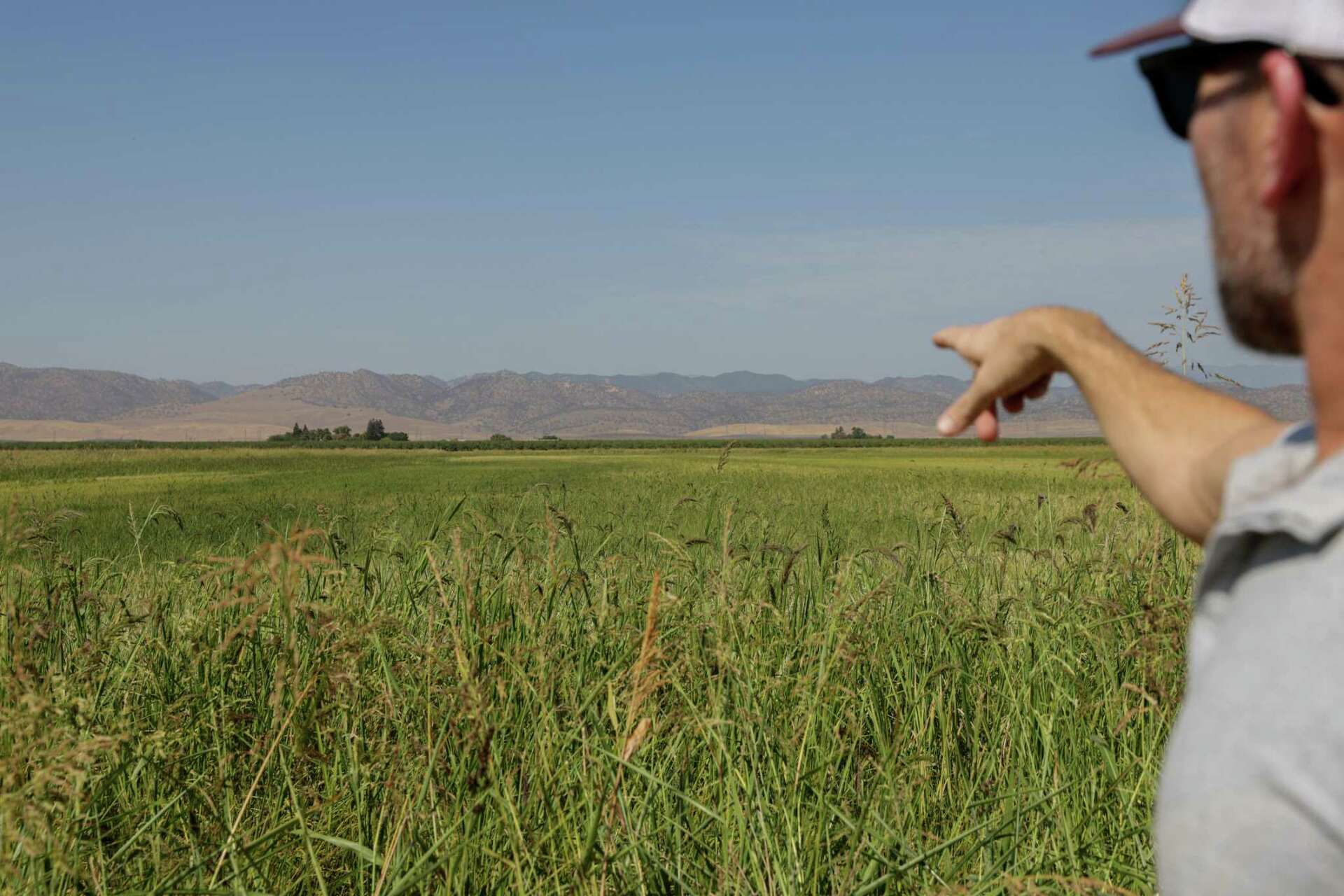 The rice capital of California is ‘now just a wasteland.’ Satellite ...