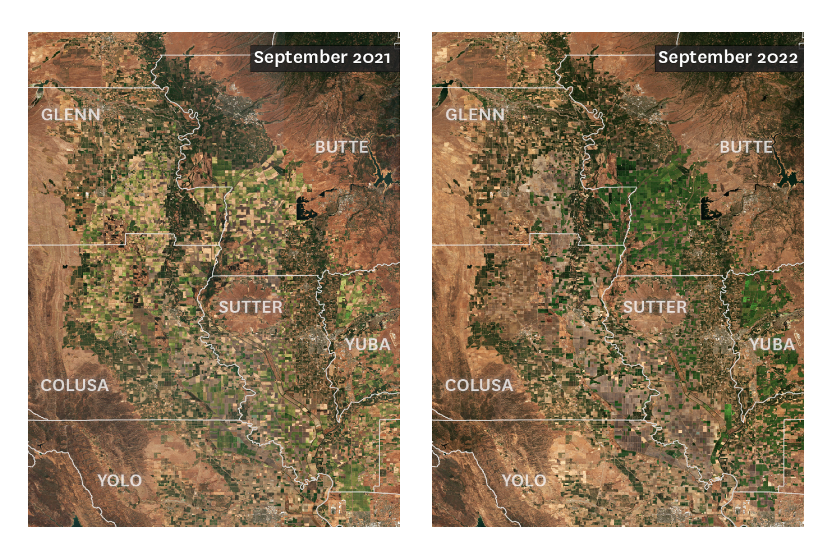 The rice capital of California is ‘now just a wasteland.’ Satellite ...