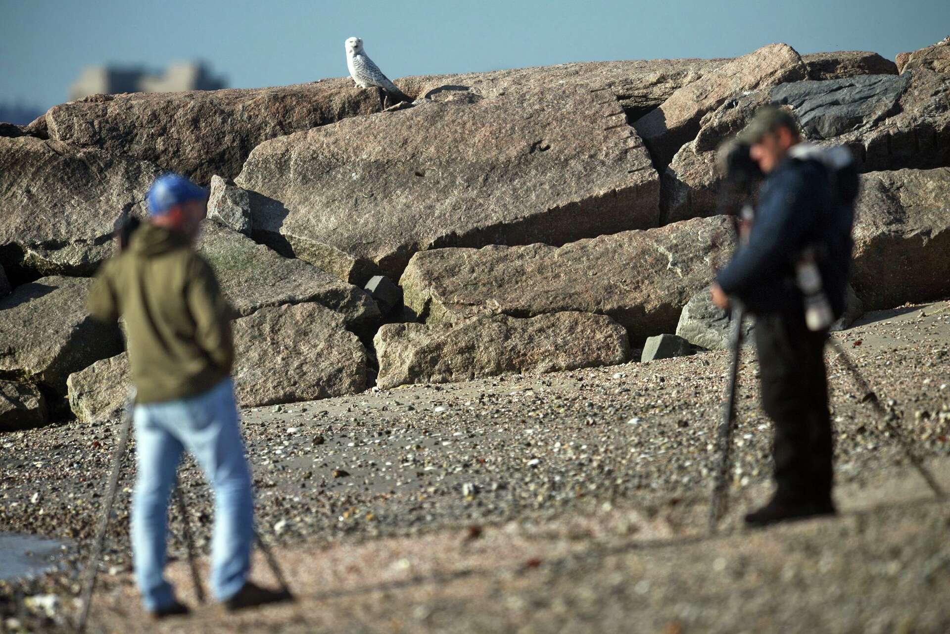 25+ things to do in CT this weekend, Sept. 23 to Sept. 25