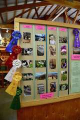 99th annual Bethlehem Fair welcomes fall season Sept. 6-8