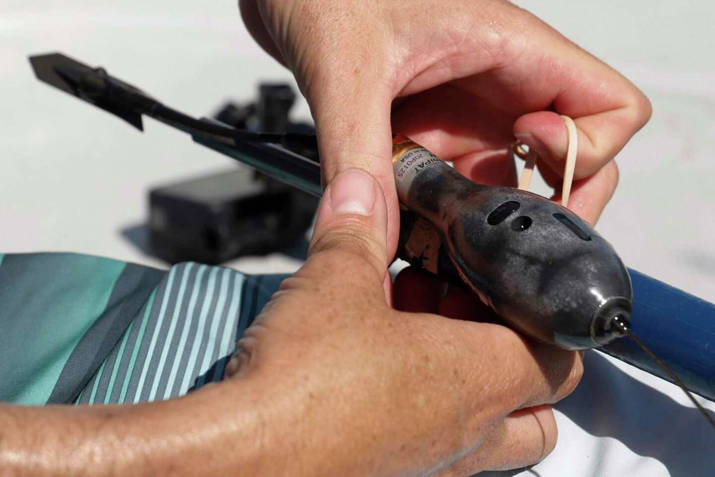 Great white sharks are now spending summers at a popular California ...