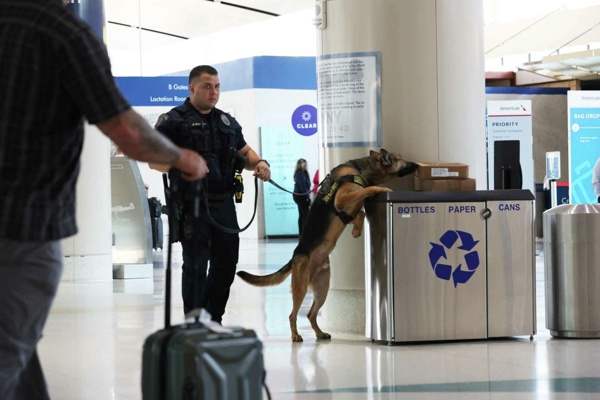 San Antonio’s airport K9 bomb detectors among the best