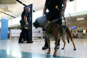 San Antonio’s airport K9 bomb detectors among the best