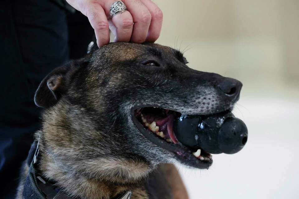San Antonio’s airport K9 bomb detectors among the best