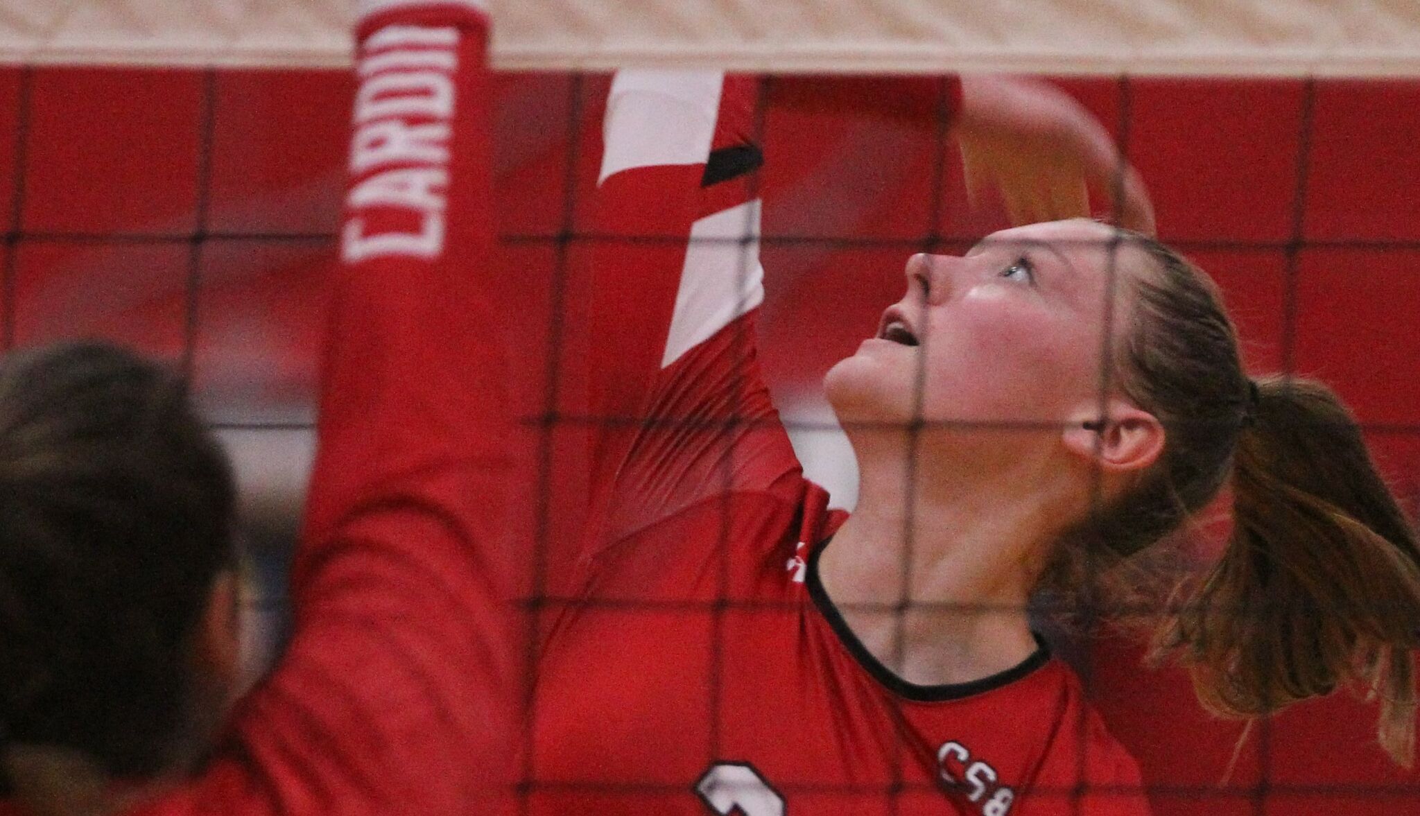 Jacksonville's Riley Drake to play volleyball at Illinois College