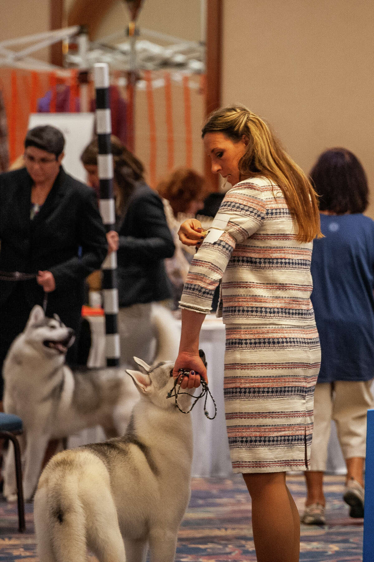 SEEN: Showing off Siberian huskies at the Great Hall