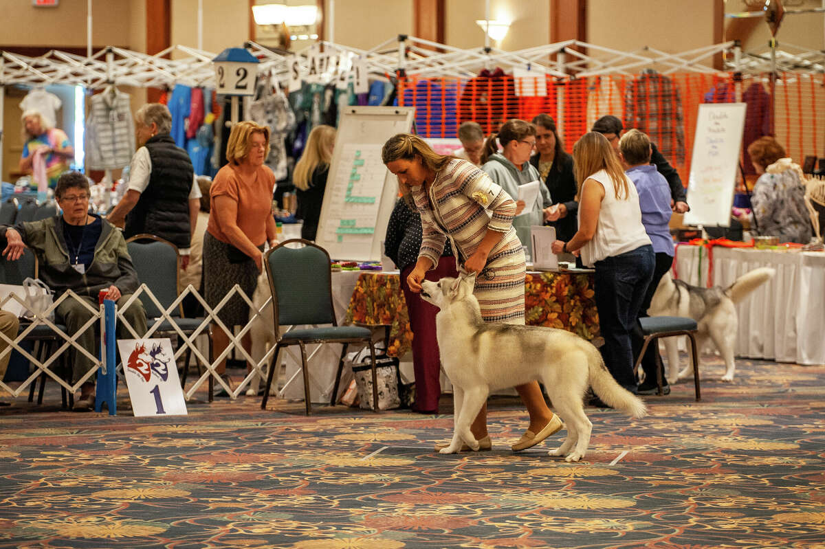SEEN: Showing off Siberian huskies at the Great Hall