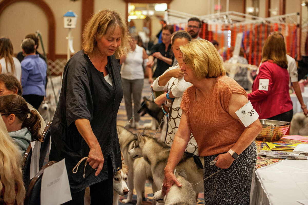 SEEN: Showing off Siberian huskies at the Great Hall