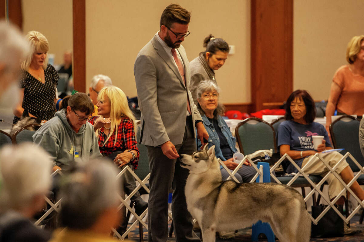 SEEN: Showing off Siberian huskies at the Great Hall