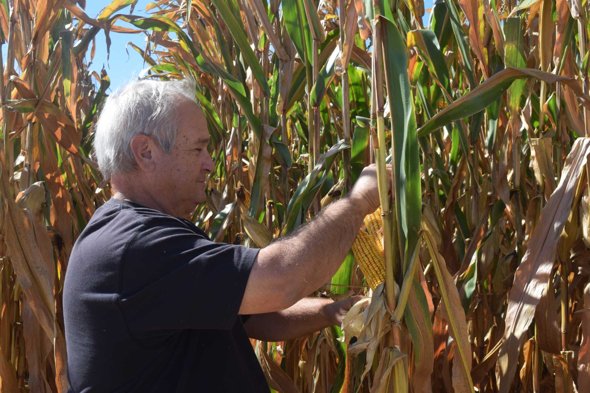 Modern Farmer: Corn growers competition pushing farmers to try for high ...