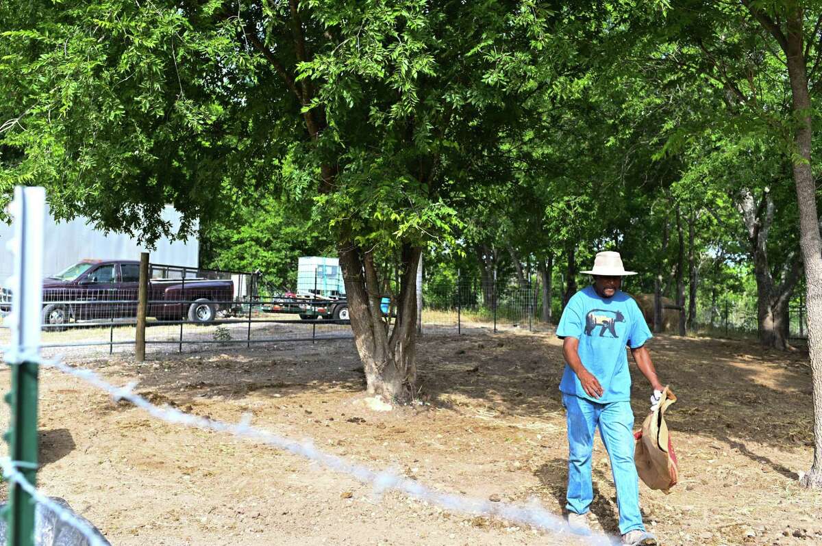 Black Texas farmers fight state’s efforts to seize land