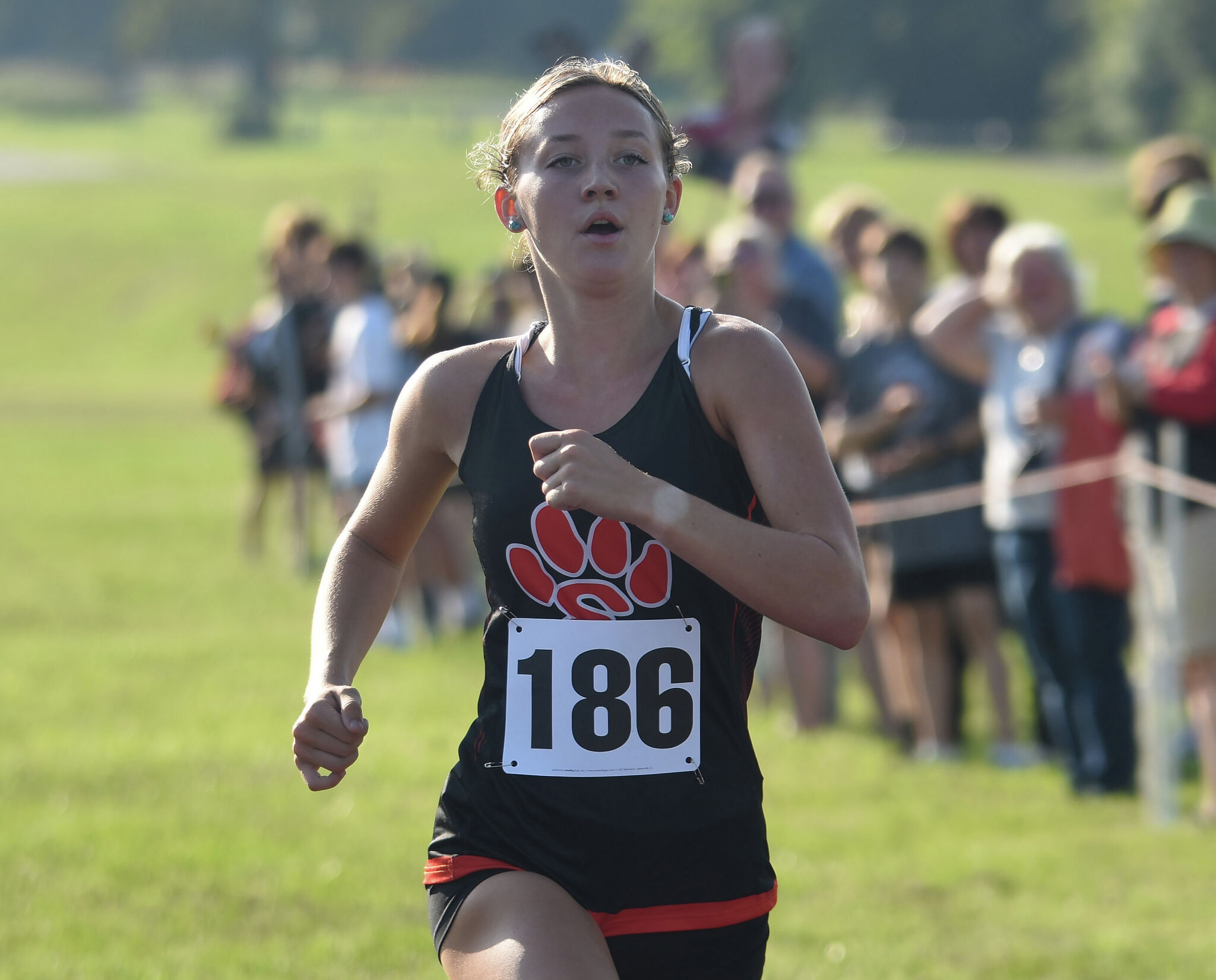 Tigers win girls, boys Edwardsville Invitational races