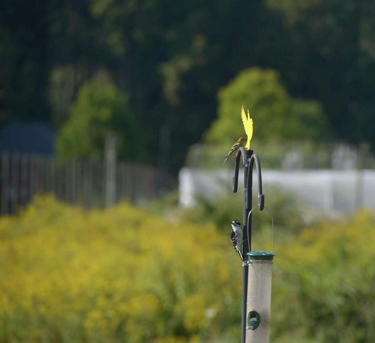 Sandy Hook mom’s sanctuary keeps daughter's love of animals alive