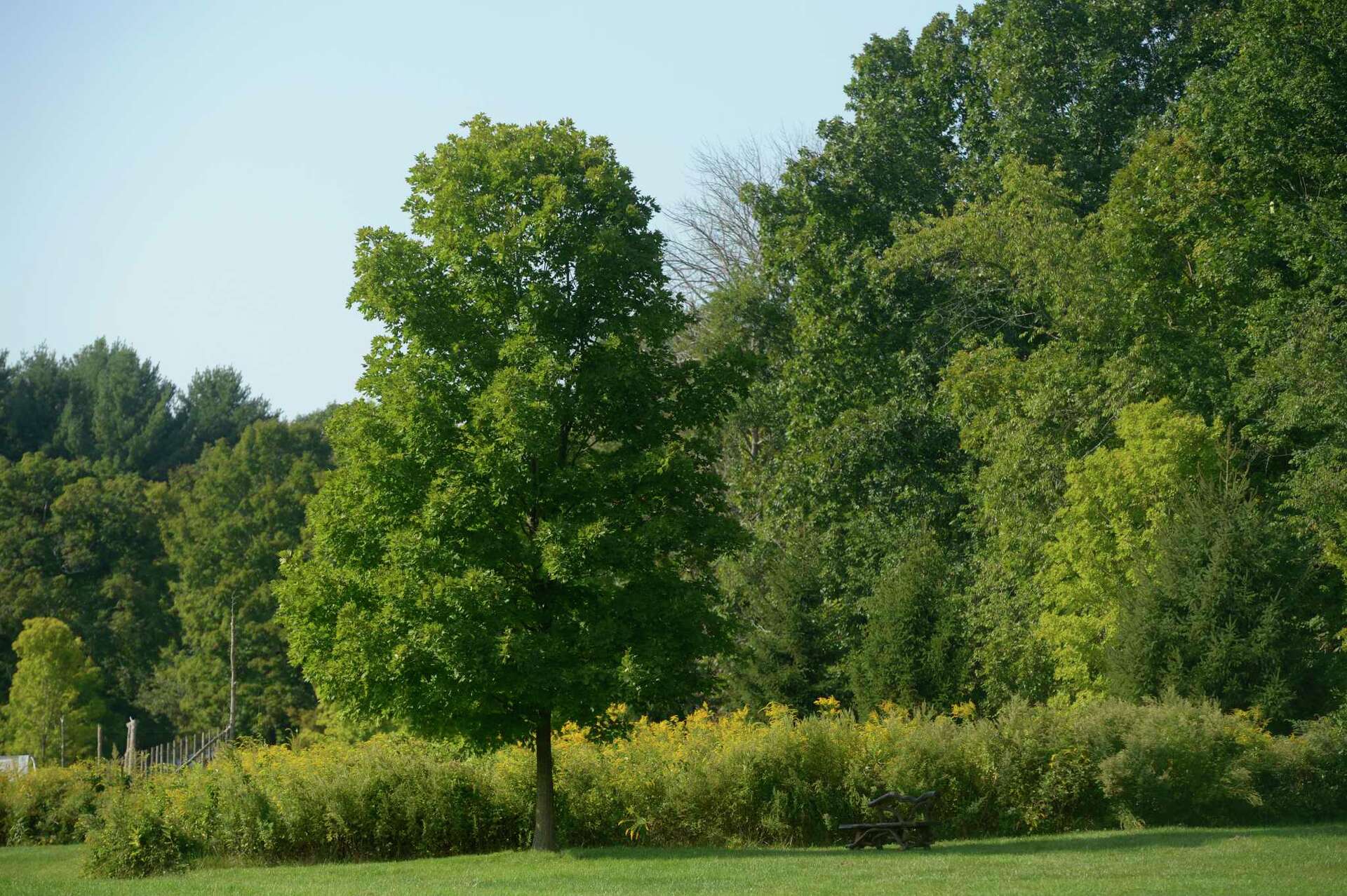 Sandy Hook mom’s sanctuary keeps daughter's love of animals alive