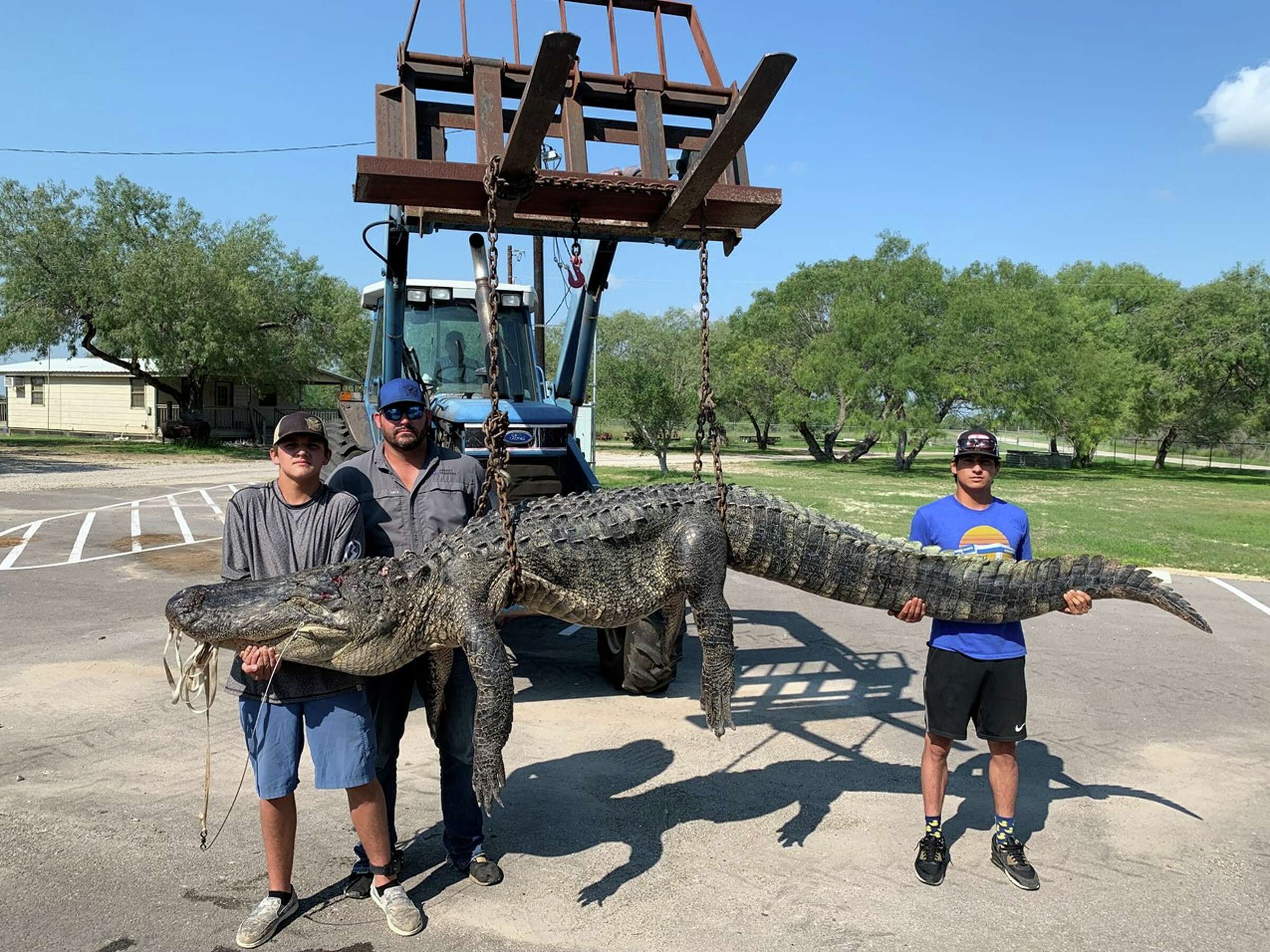 Hunters catch massive alligators in South Texas area