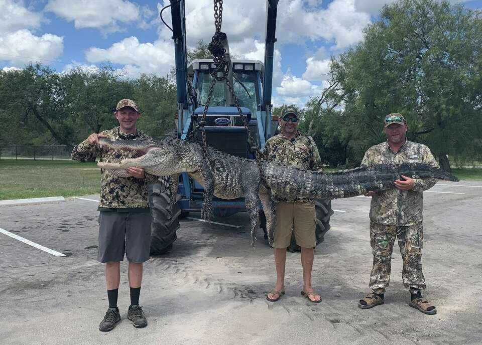 Hunters catch massive alligators in South Texas area