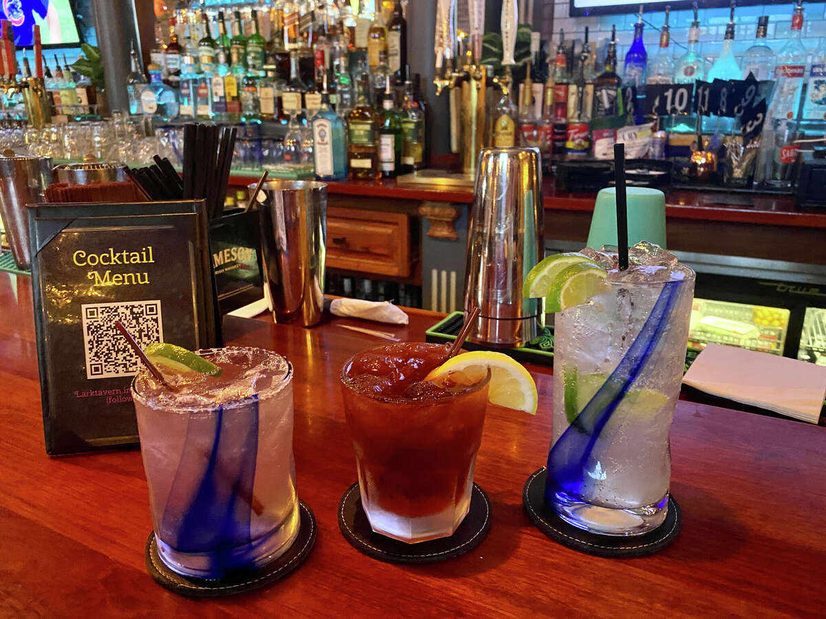 Albany's Lark Street Tavern a worthy revival of venerable pub space