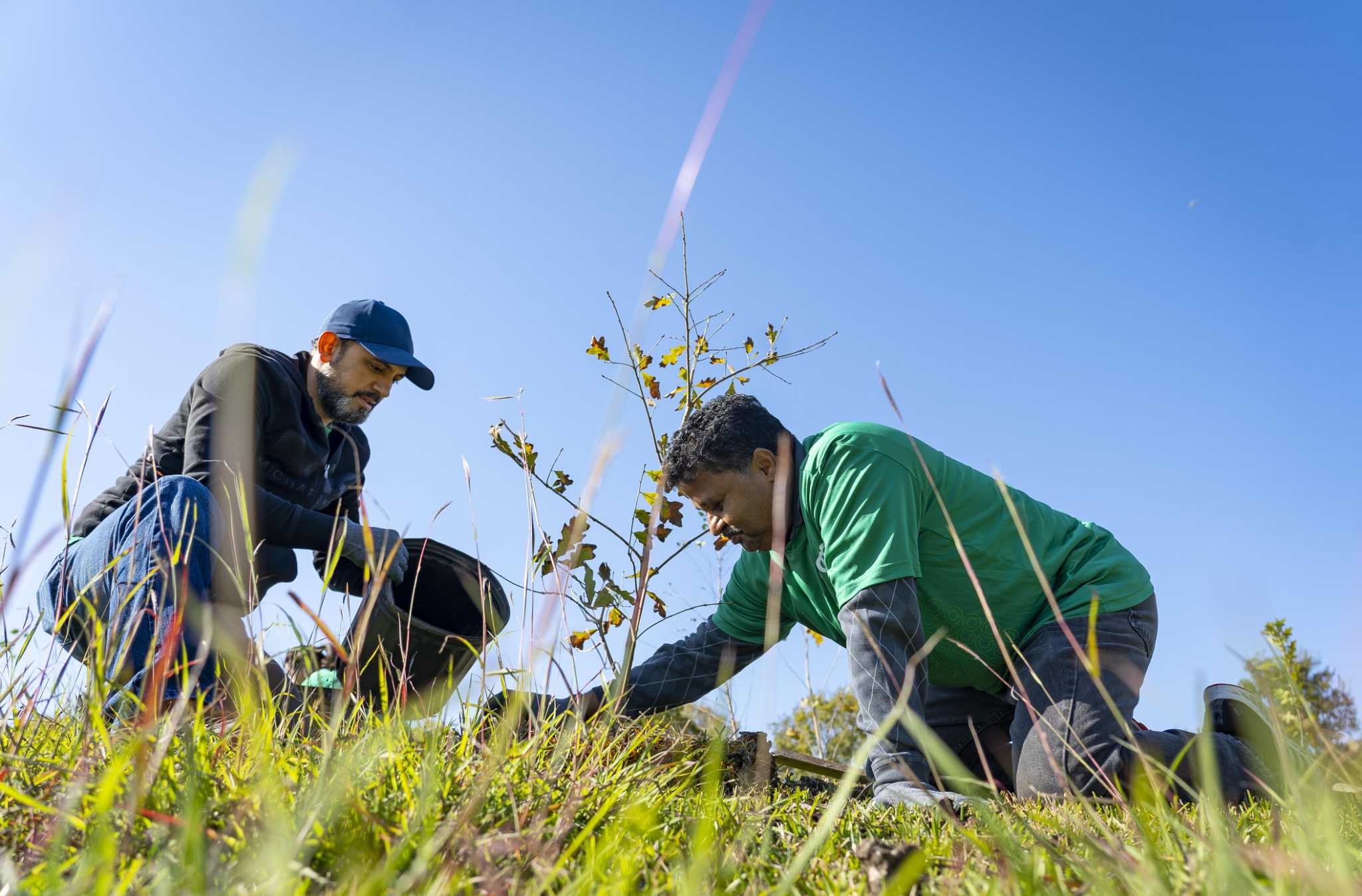 Harris County lost nearly 10 percent of its tree coverage in 10 years.