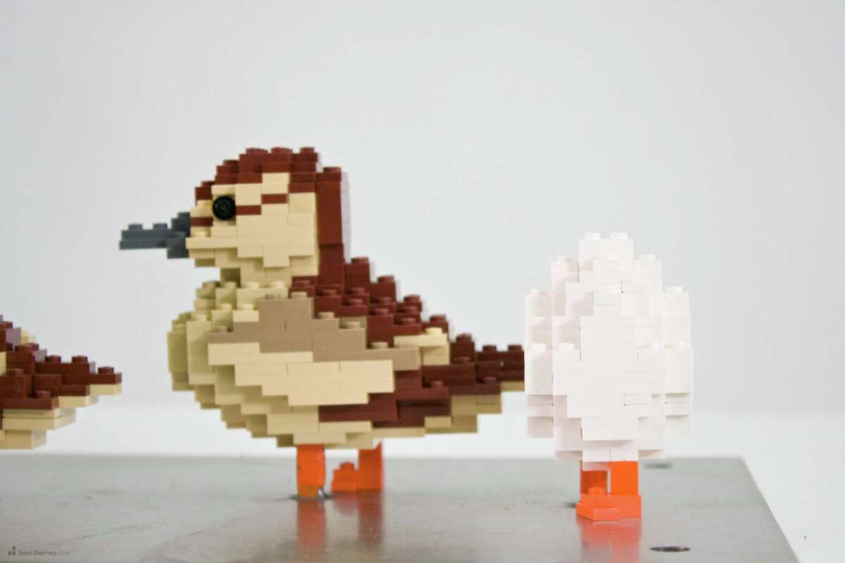 Sean Kenney’s ‘Nature Connects Made with LEGO Bricks’ exhibit is coming ...