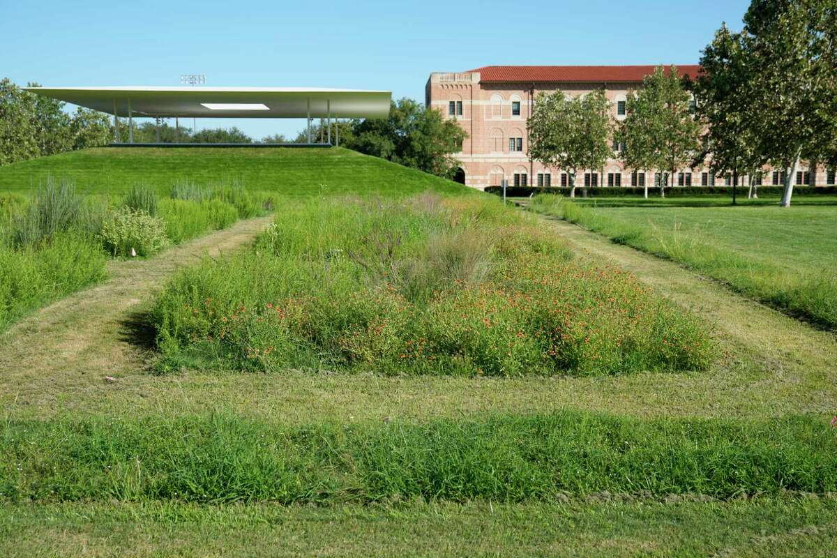 Rice project tells story of Gulf Coast native prairie, an endangered ...