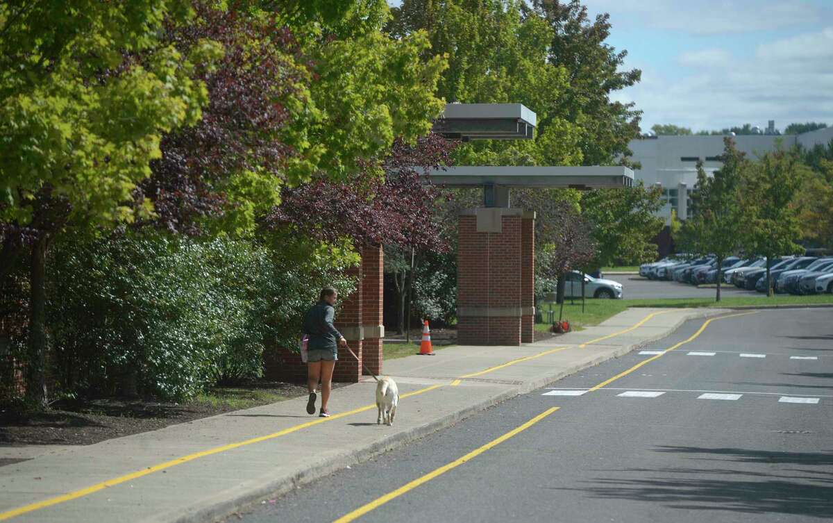 Ridgefield students find comfort in handling dogs at school