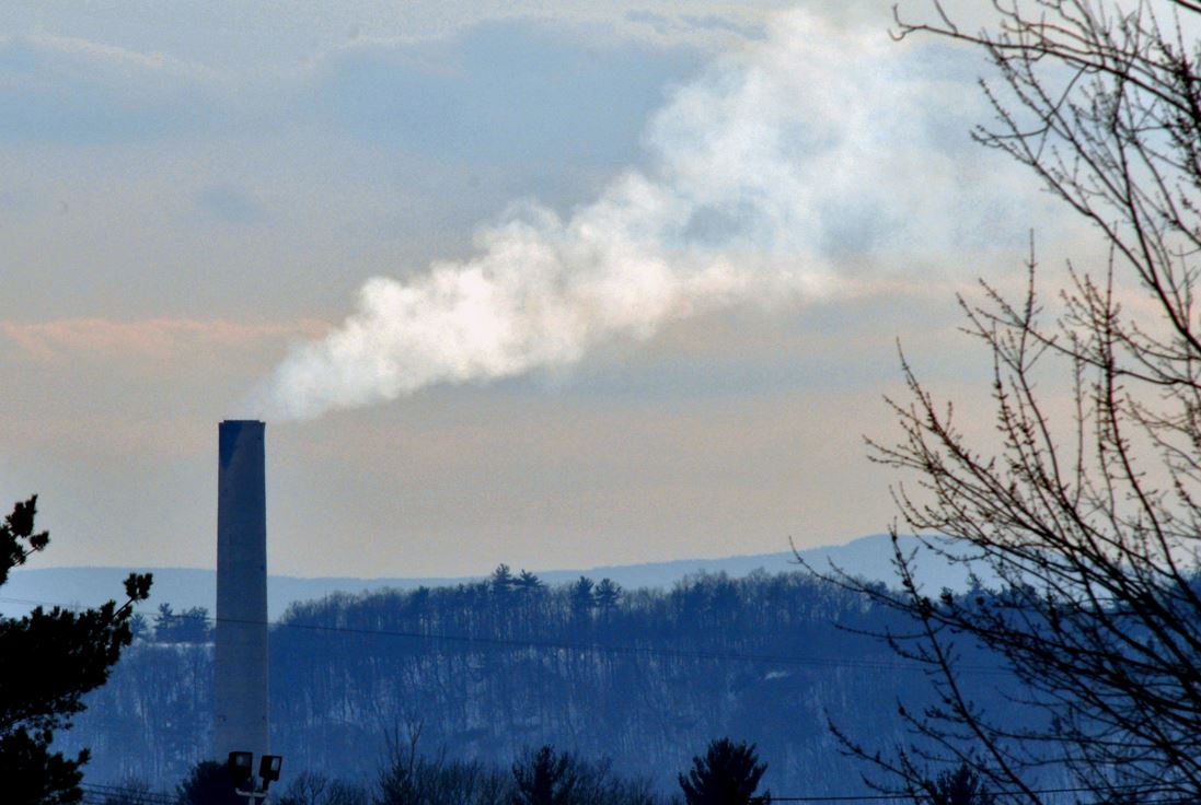 The New York State Department of Environmental Conservation is looking ...