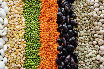 10 beans and legumes high in protein