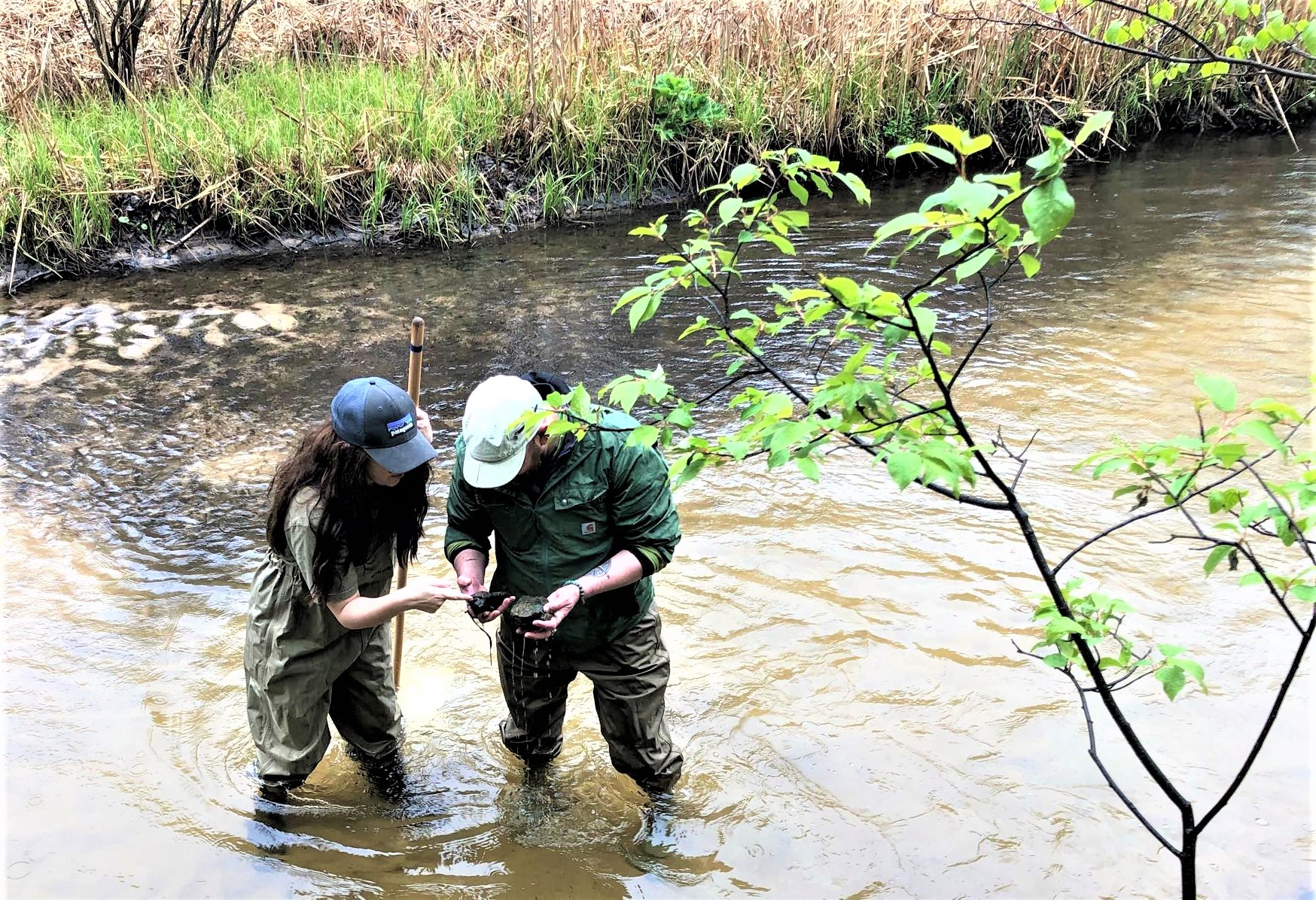 Like bugs? Join Manistee's stream sampling event