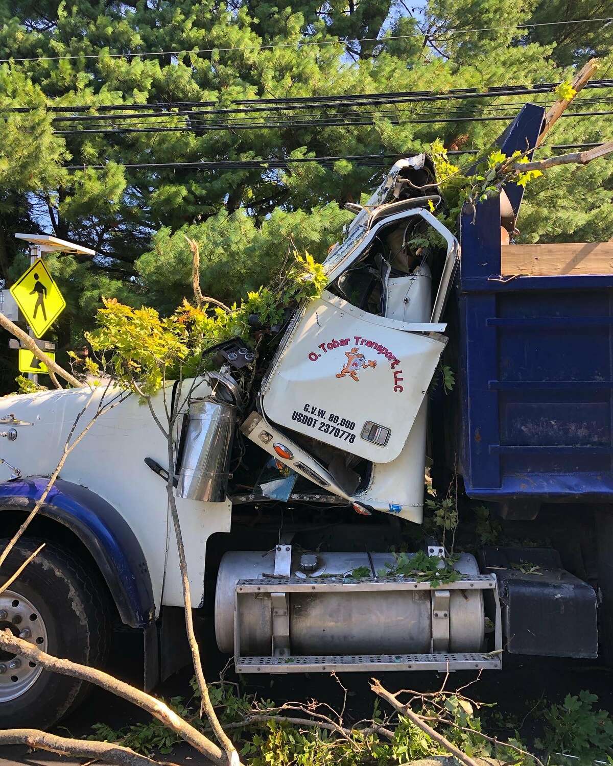 CT outages restored after high winds knock out power