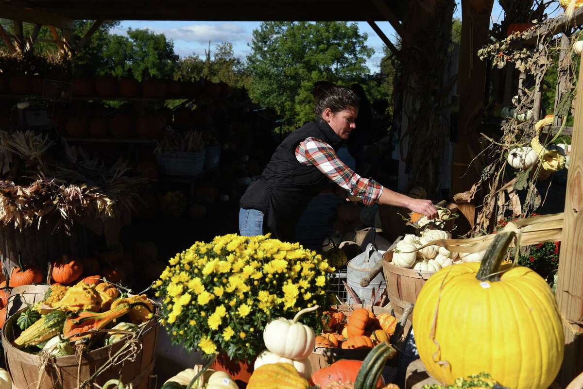 Hanehan family farm brings Martha Stewart aesthetic to pumpkins, gourds
