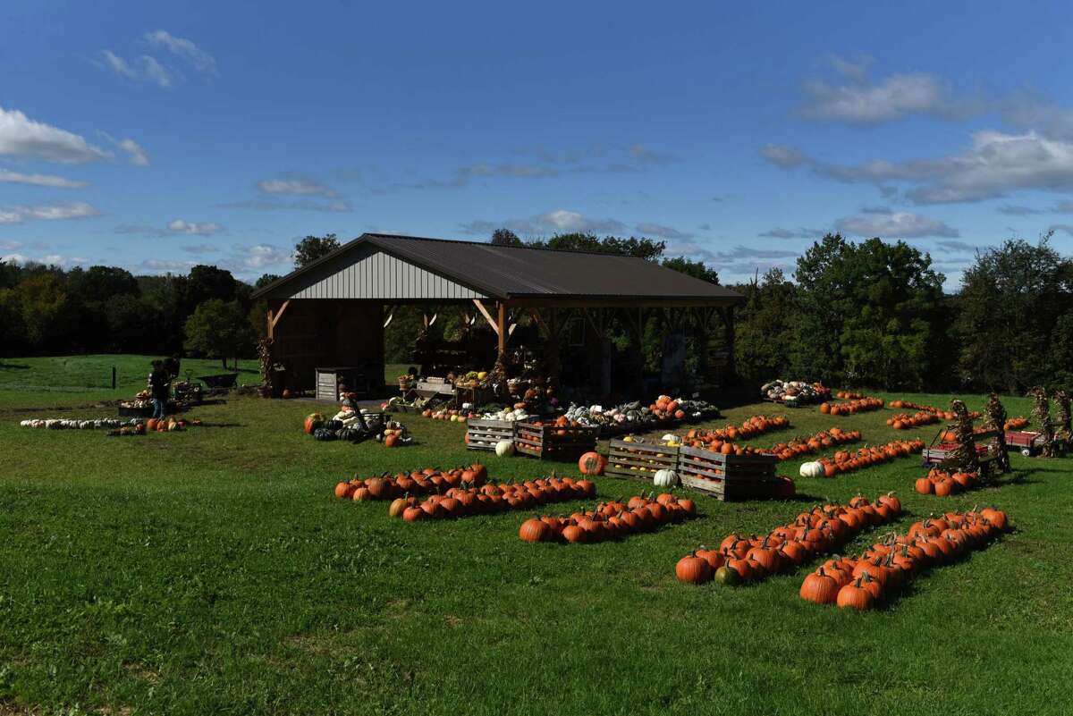 Hanehan family farm brings Martha Stewart aesthetic to pumpkins, gourds