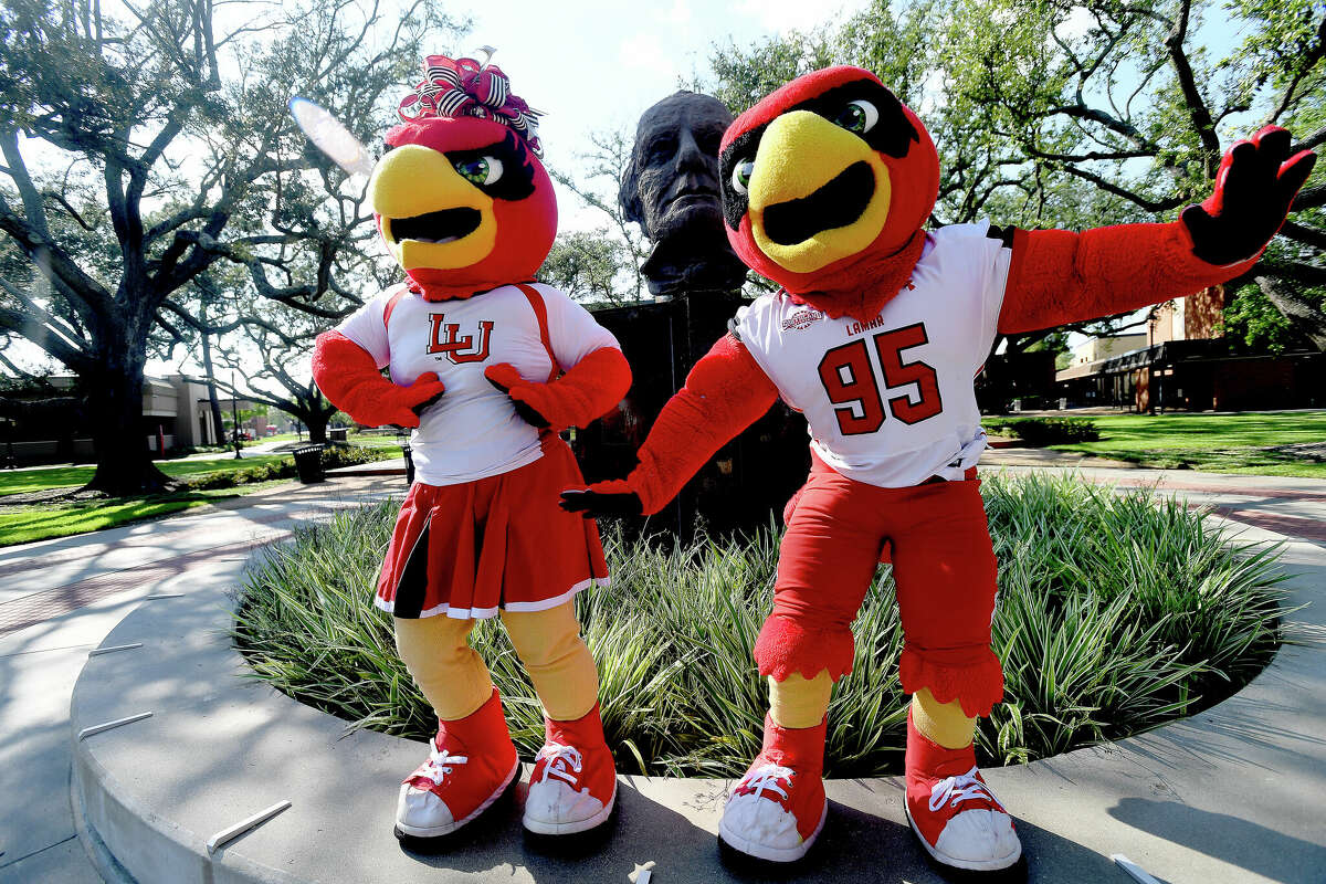 Think you know your local birds? 7 Questions With ... Lamar mascots Big ...