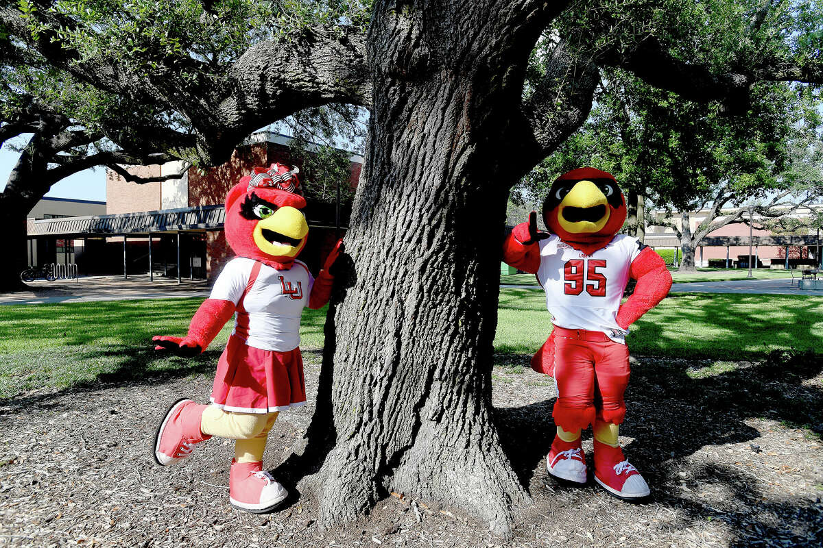 Think you know your local birds? 7 Questions With ... Lamar mascots Big ...