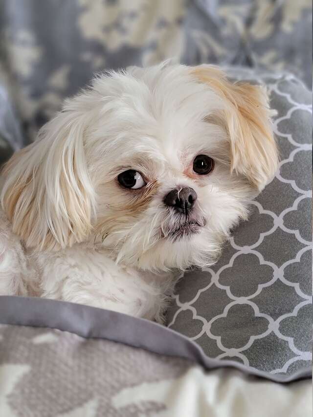 20 things: Lara Bryn, CBS6