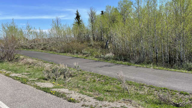 5 of the best Houston bike trails for every type of cyclist