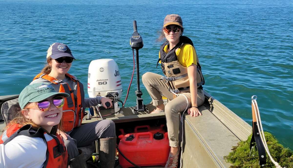 What is citizen science?