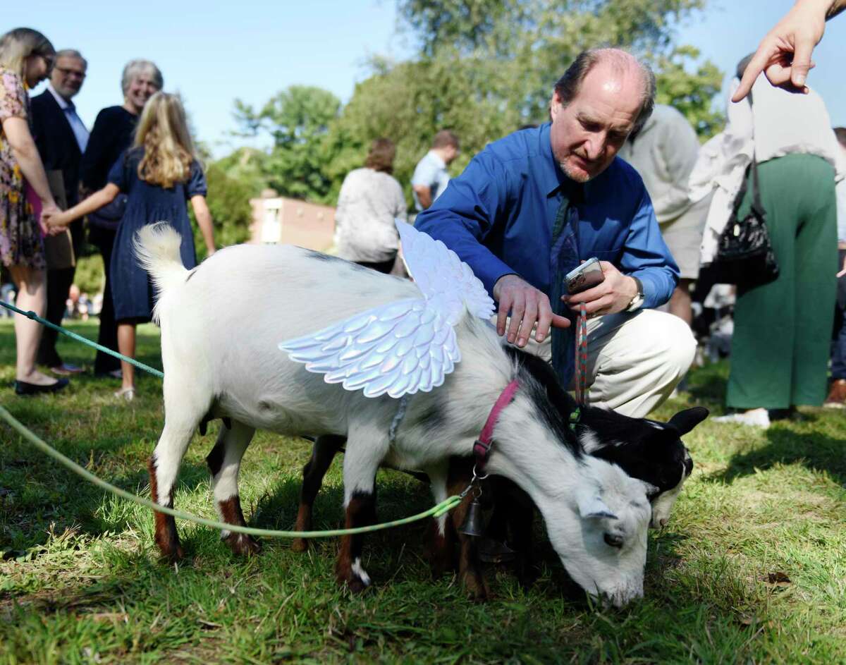 In Photos: For Rosh Hashana, Stamford Jews ‘feed their sins' to goats ...