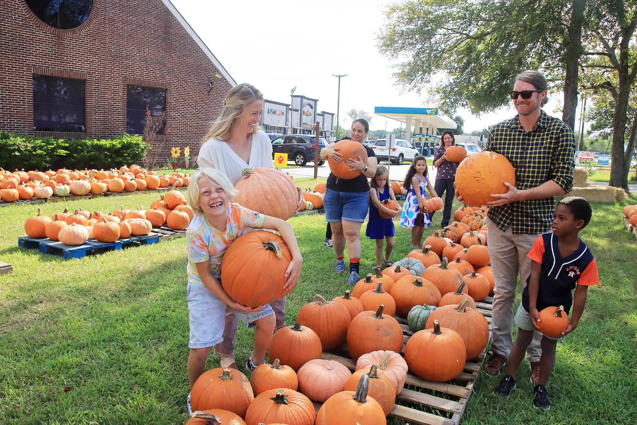 Thousands of pumpkins in all shapes and sizes are on the scene and ...