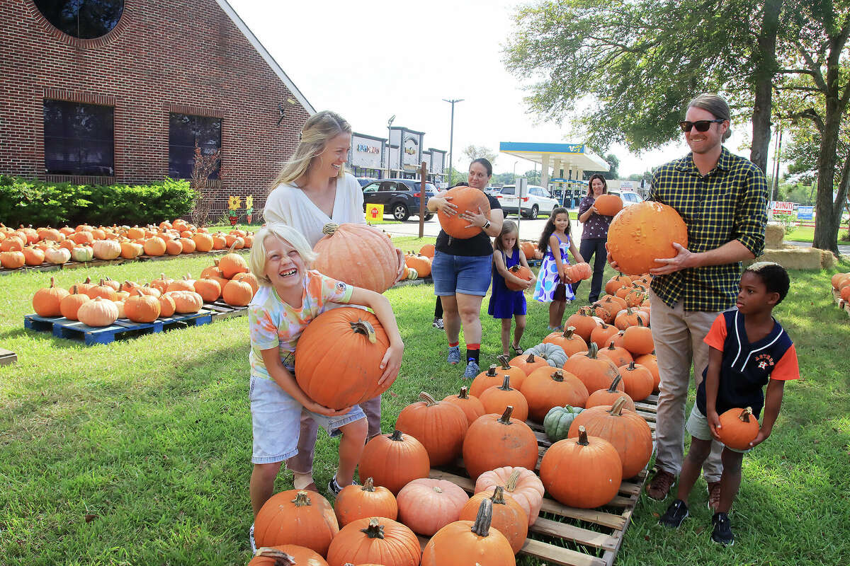 Thousands of pumpkins in all shapes and sizes are on the scene and ready for pictures and ...