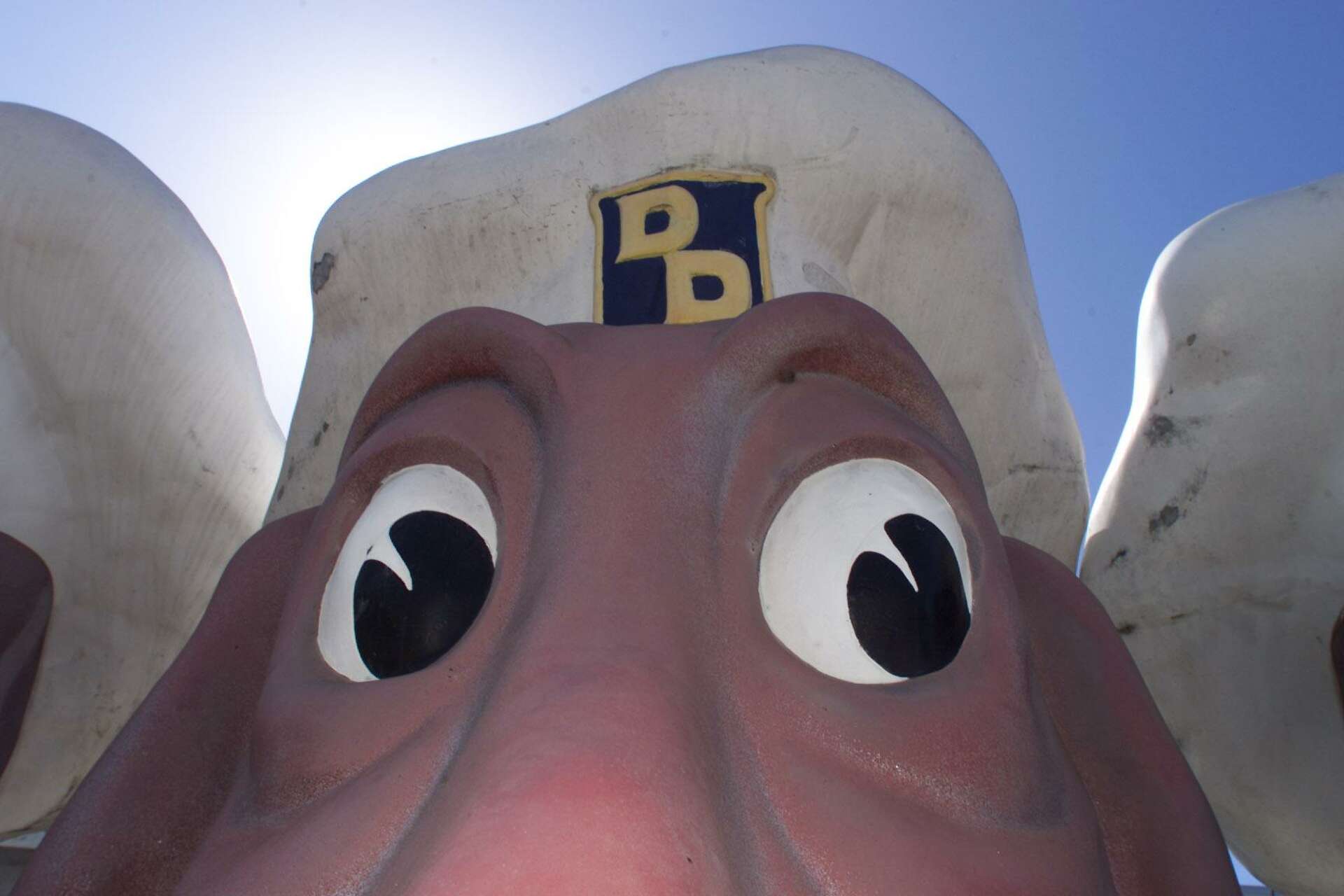 Why giant Doggie Diner heads are popping up in Golden Gate Park