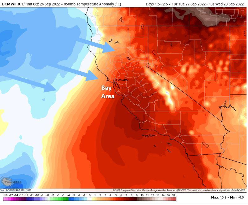 Bay Area wakes up to patchy fog. How long will it stick around?