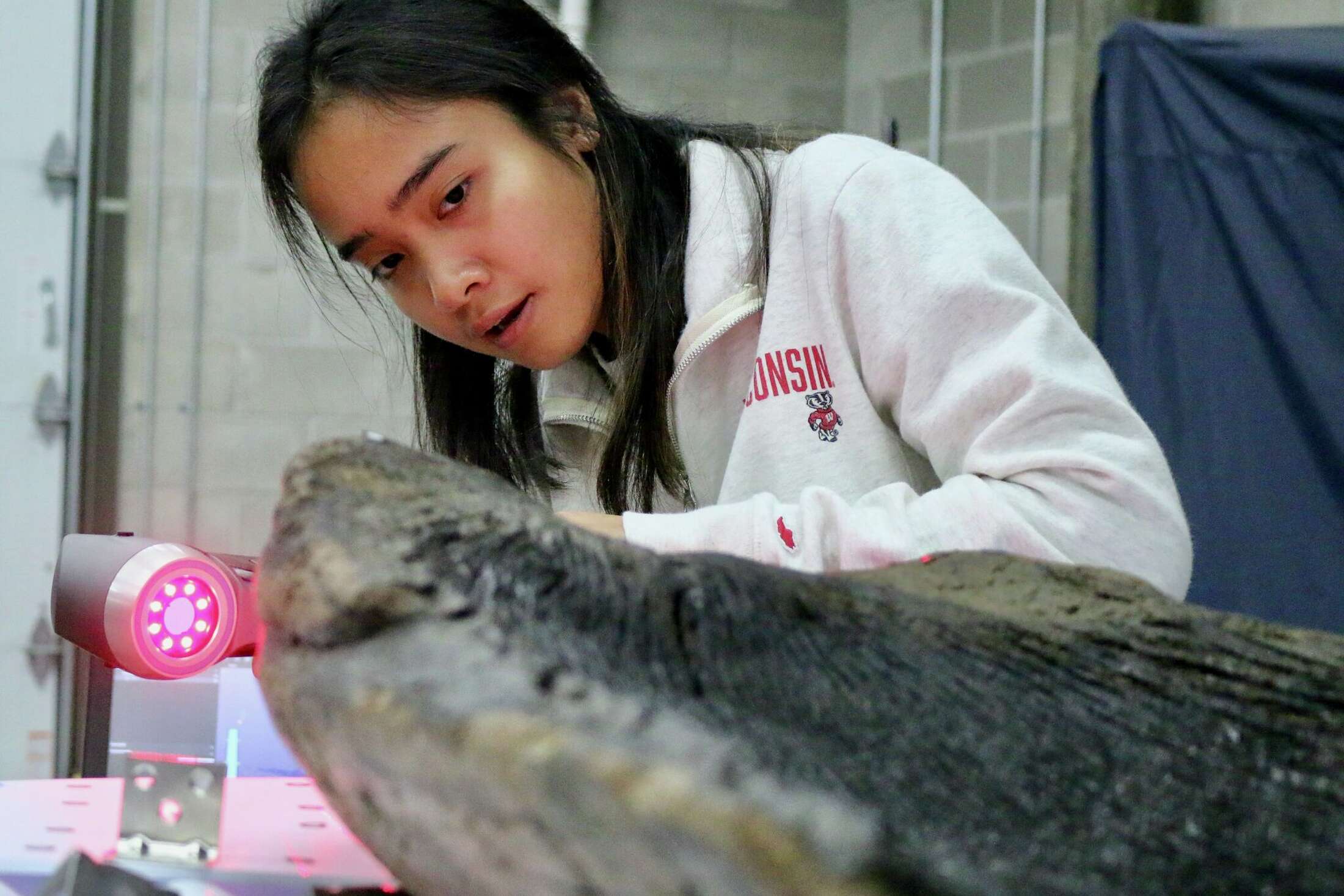 Ancient 3,000-year-old canoe is oldest ever found in Great Lakes