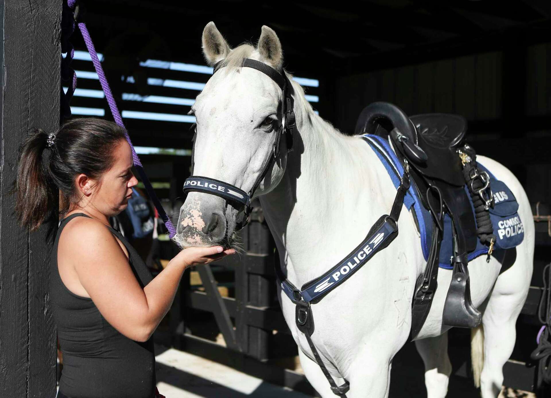 Conroe Police Department adds its first mounted patrol unit