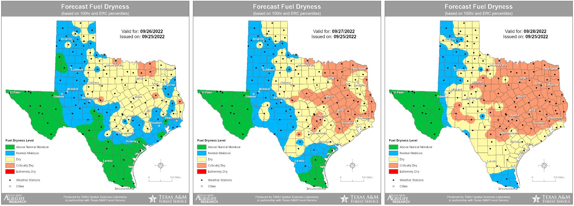Southeast Texas now 'critically dry,' at high risk for wildfires