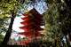 San Francisco’s Japanese Tea Garden pagoda unveiled after its first ...