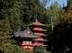 San Francisco’s Japanese Tea Garden pagoda unveiled after its first ...