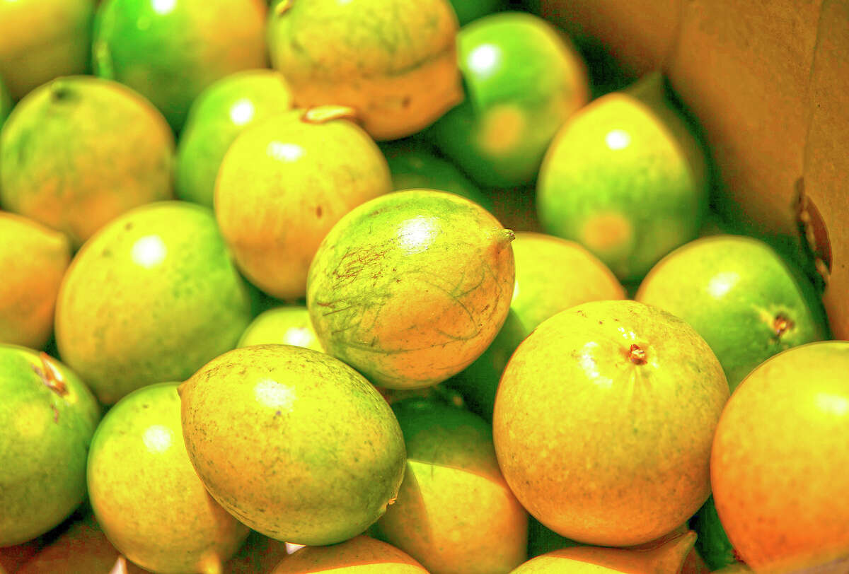 Modern Farmer: How a rare fruit went TikTok viral | Journal-Courier
