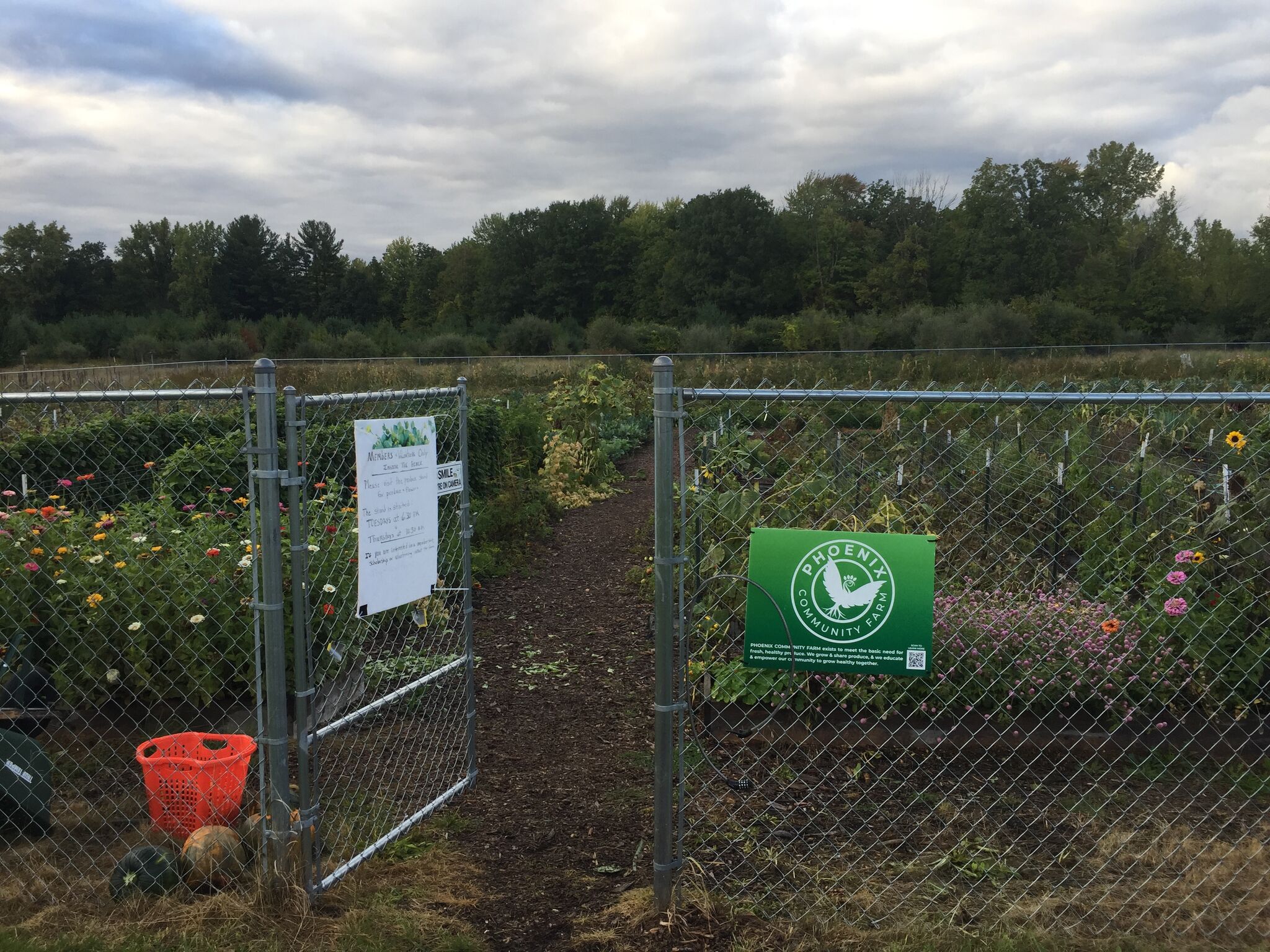 Phoenix Community Farm invites residents to celebrate harvest
