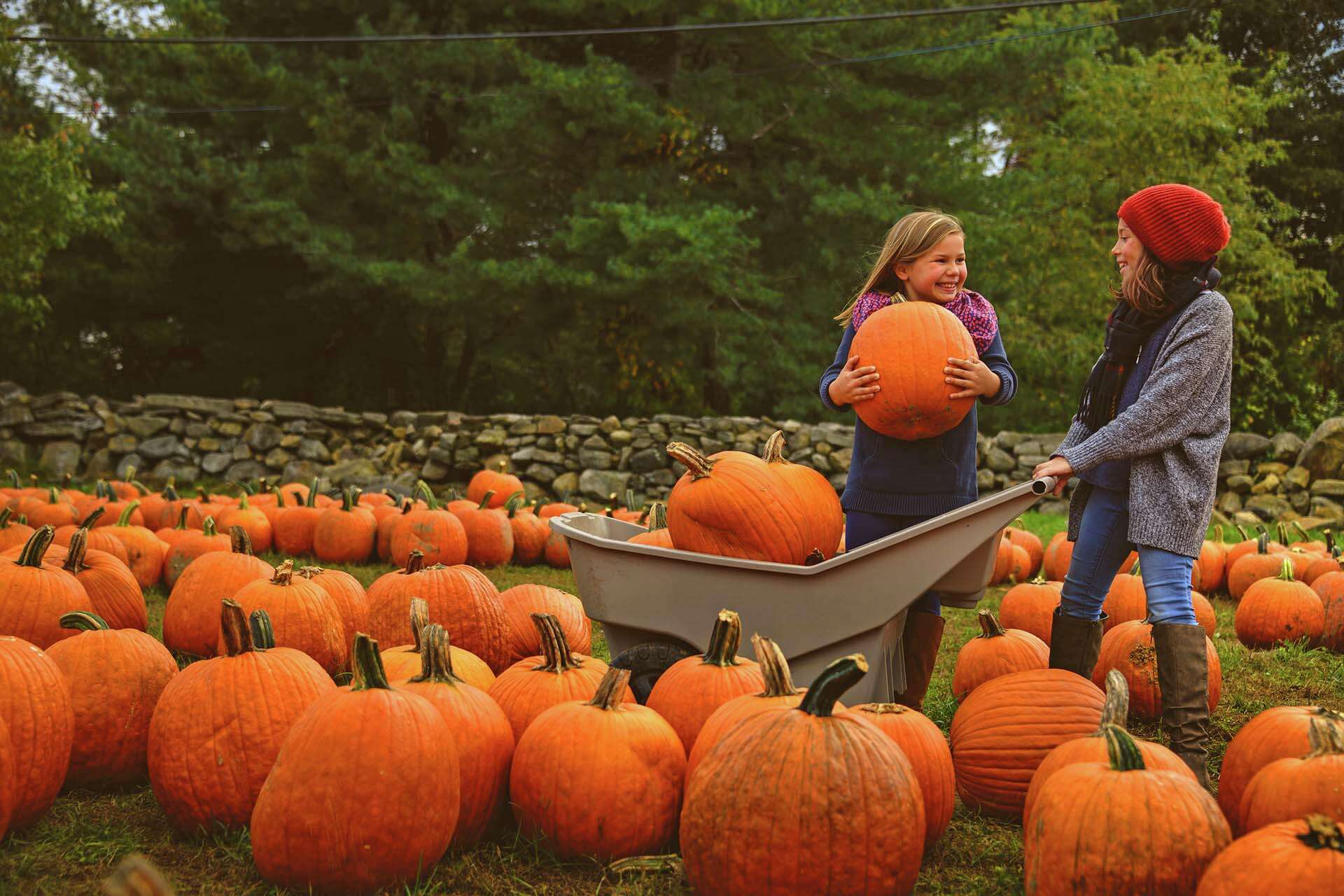 Fall day trips and getaways in Connecticut and nearby