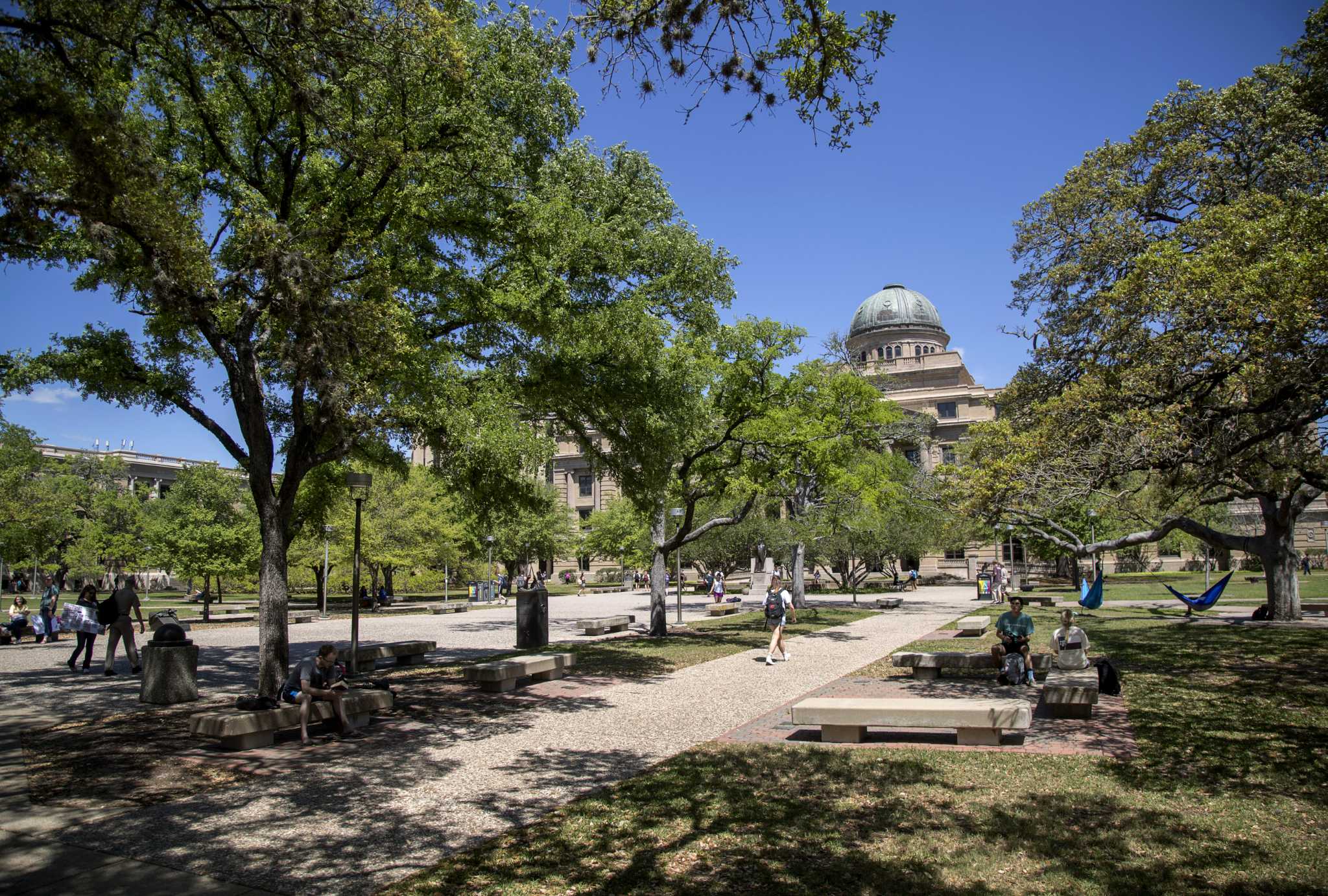 Texas college data: Which degrees and majors are most popular?